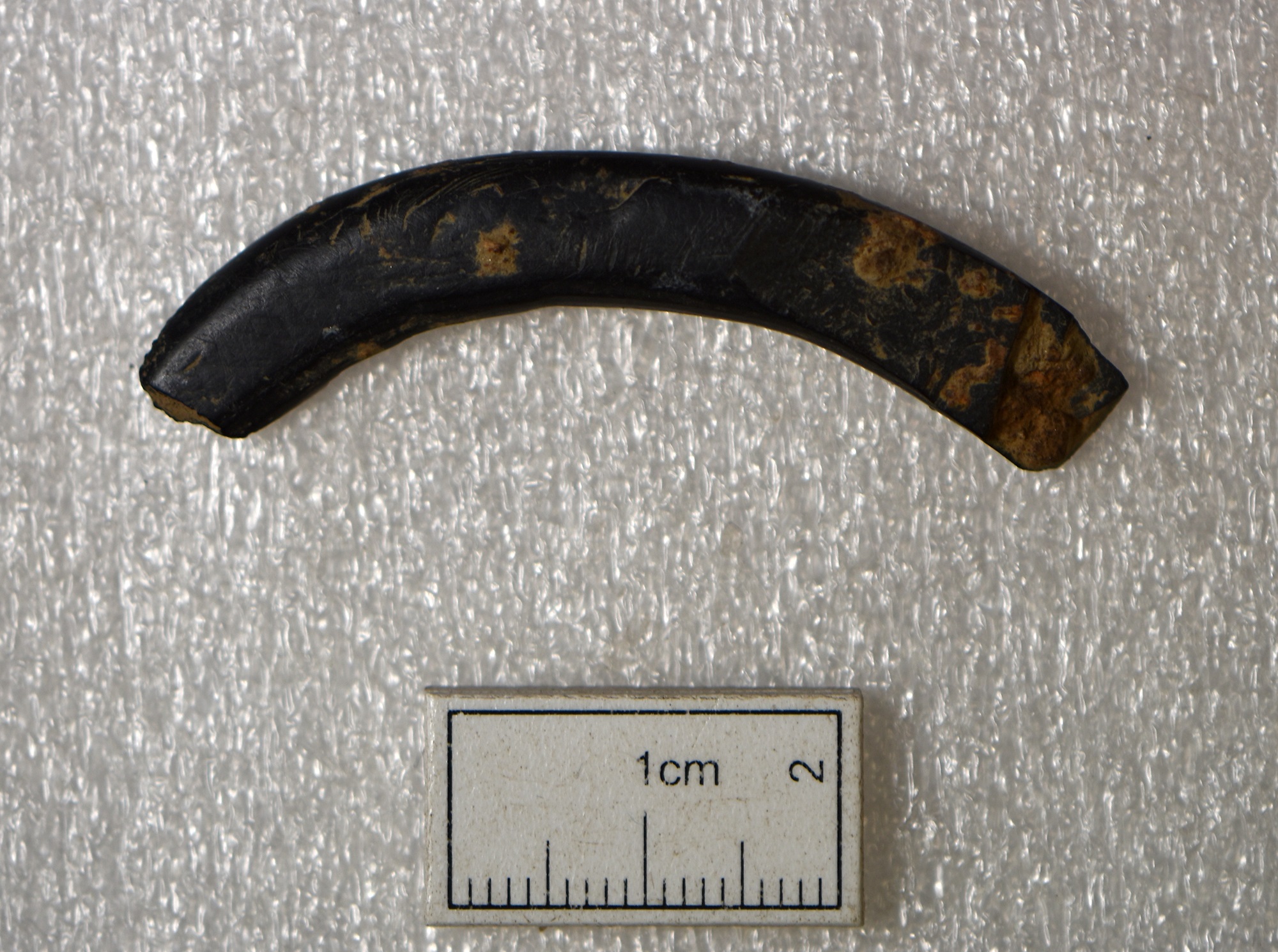 Shale bangle fragment from the Coultorsay excavation © GUARD Archaeology.